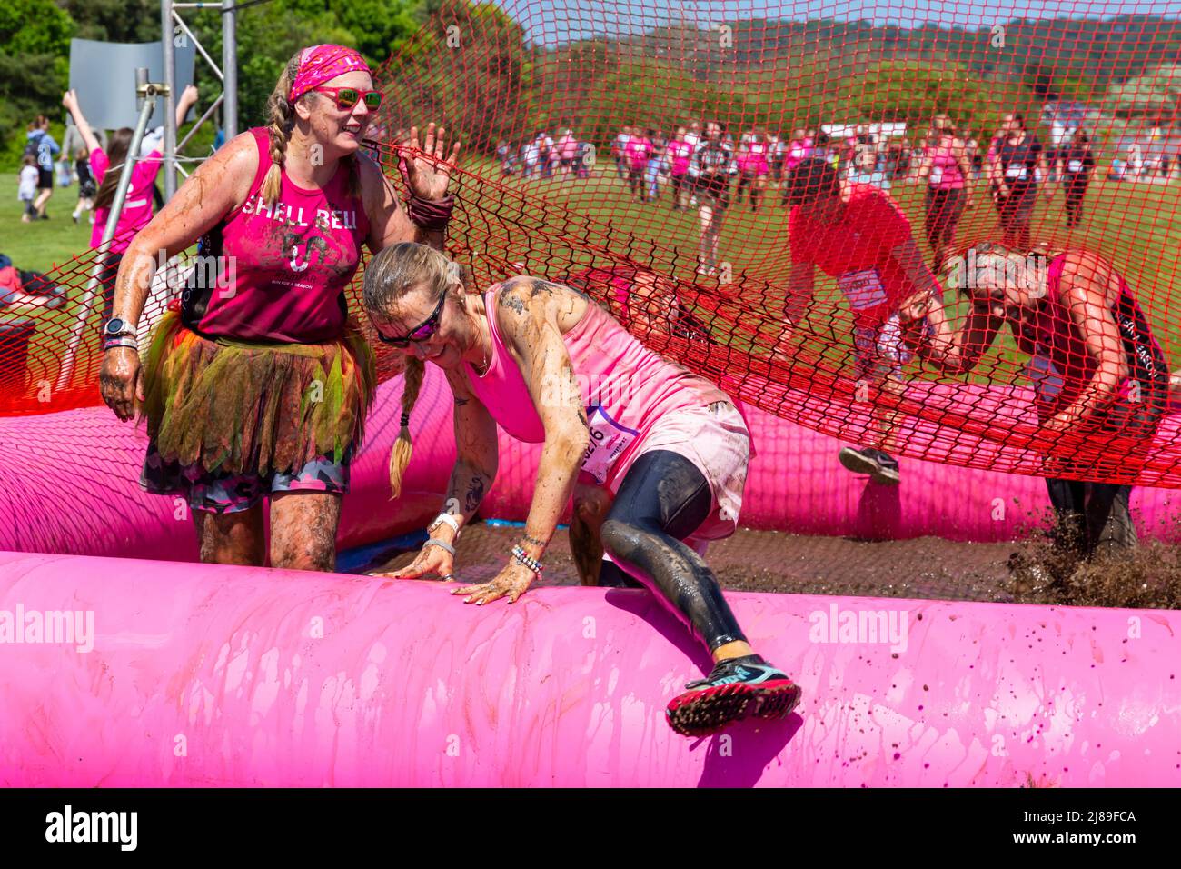 Poole pretty muddy hi-res stock photography and images - Alamy