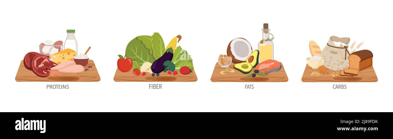 Set of macronutrients categories. Fiber, cellulose, proteins, fats and ...