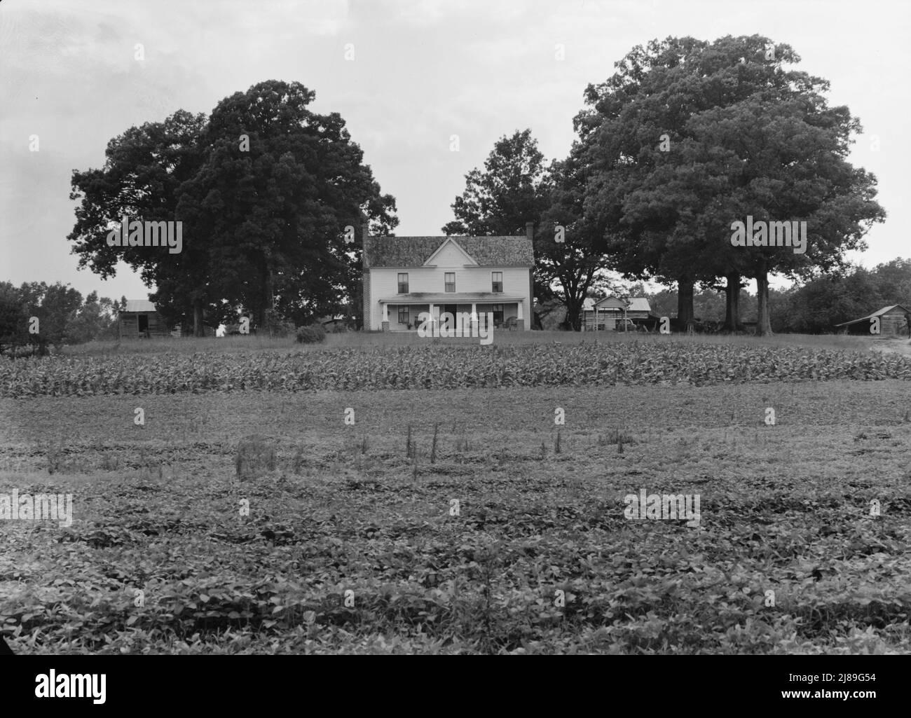 Prosperous farmer's house and farm landscape seen from the road. Field ...