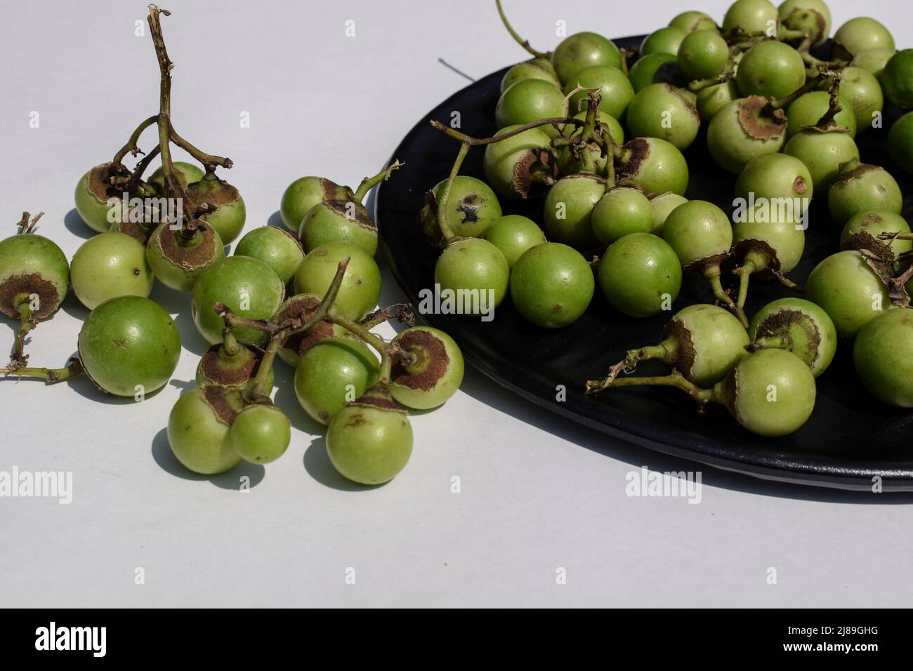 Indian fruit Green Fragrant manjack or snotty gobbles also known as ...