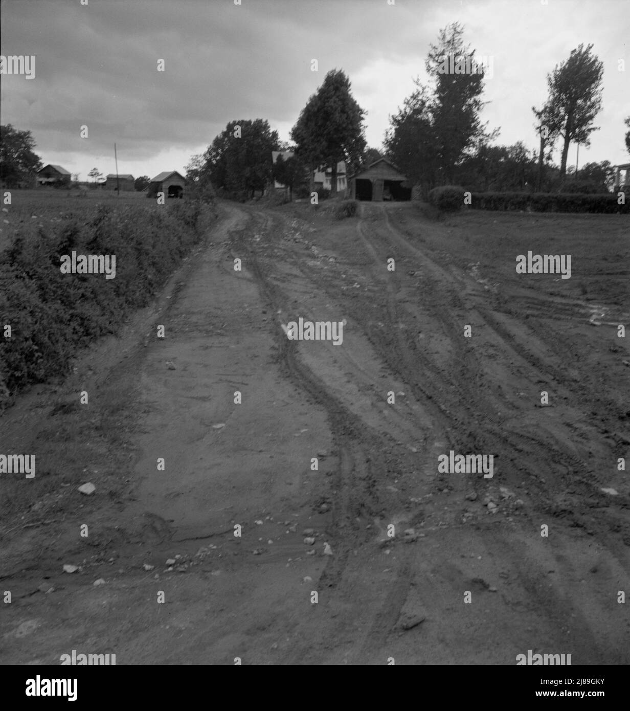 Rural north carolina clay road hi-res stock photography and images - Alamy