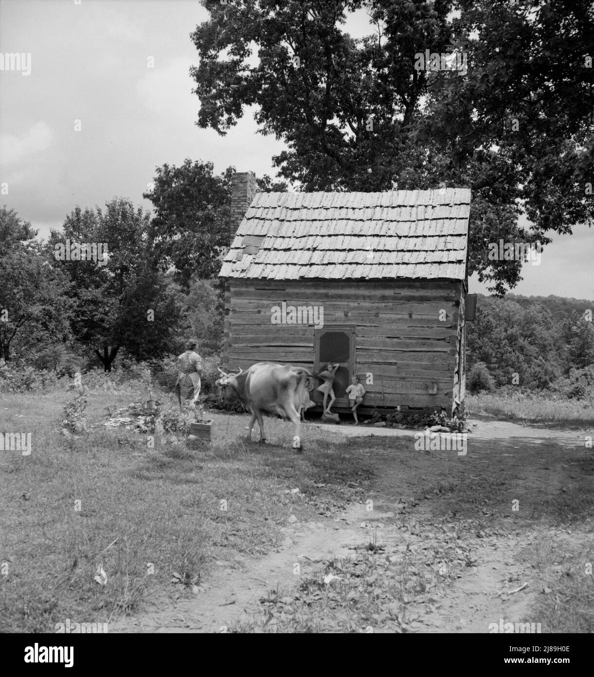 Log home of non-farm family. The father works in a chair making factory ...