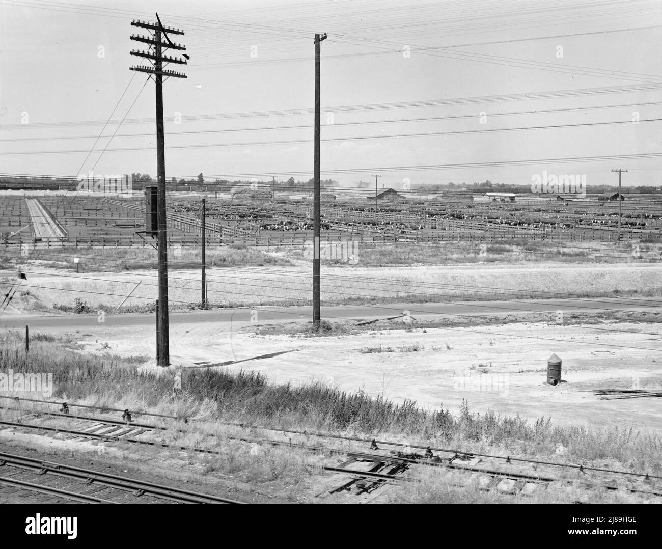 Animal overpass highway Black and White Stock Photos & Images - Alamy