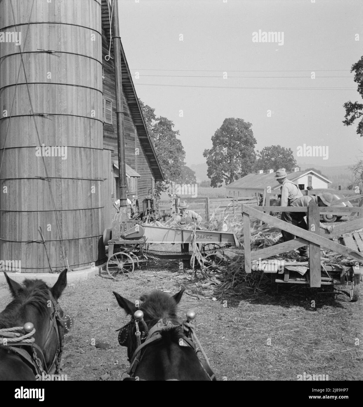 Ensilage cutter hi-res stock photography and images - Alamy