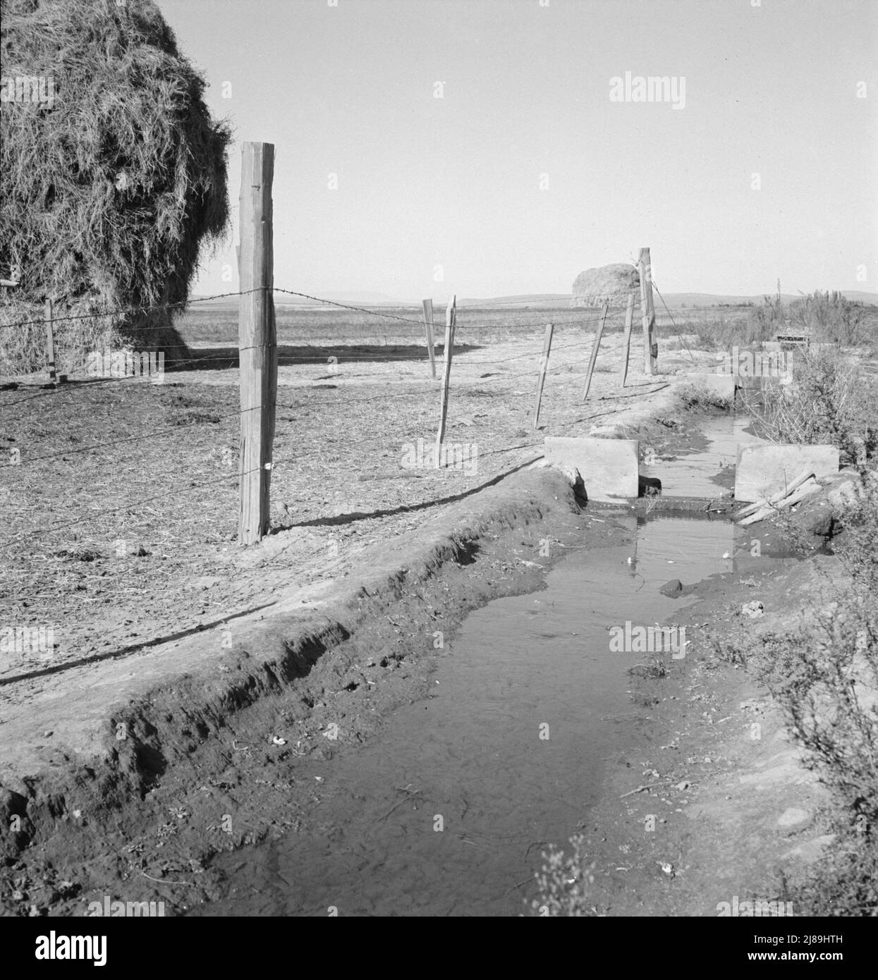 Dead ox flats hi-res stock photography and images - Alamy