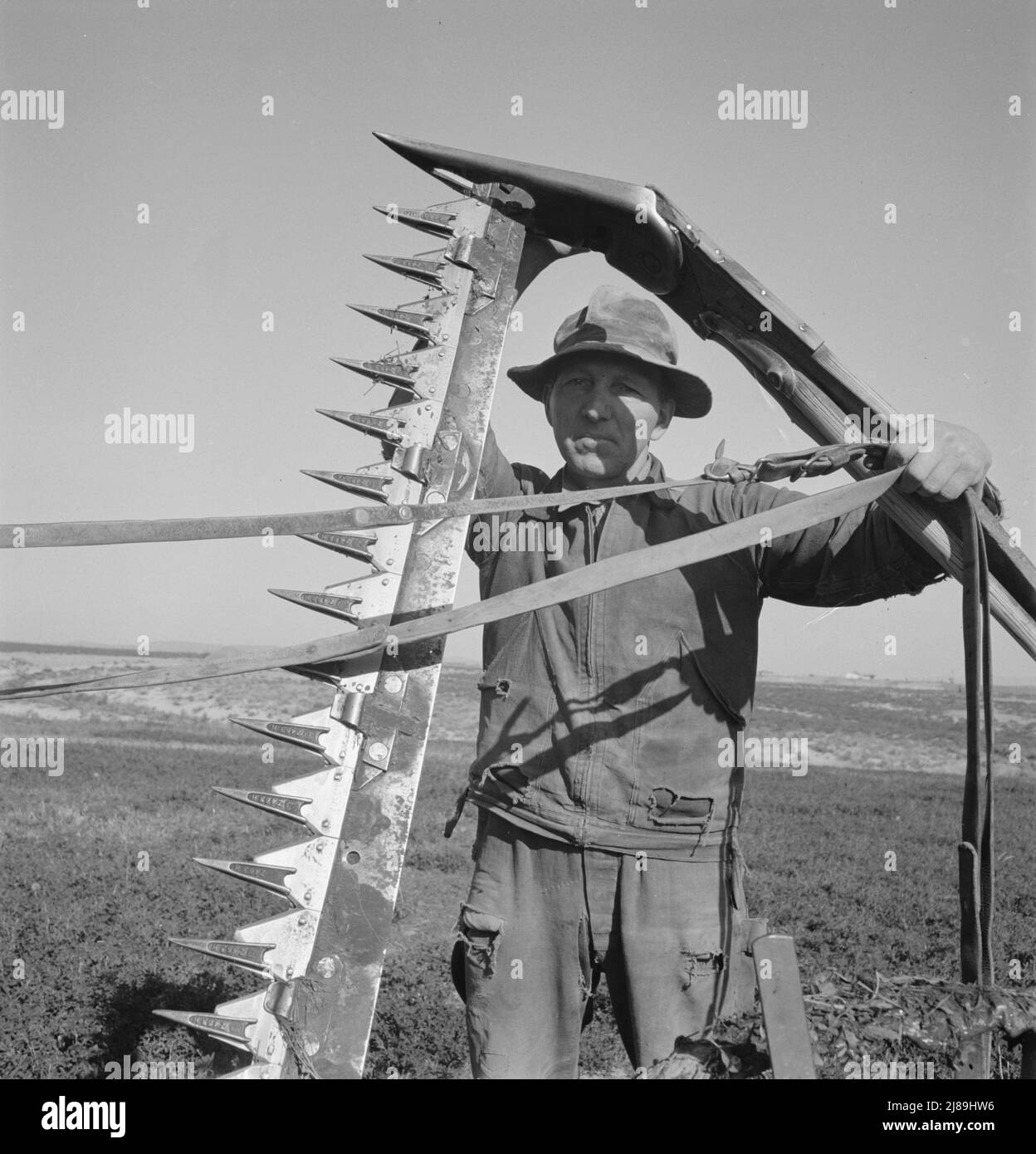Mr. Browning in his field getting ready to mow hay. Dead Ox Flat ...