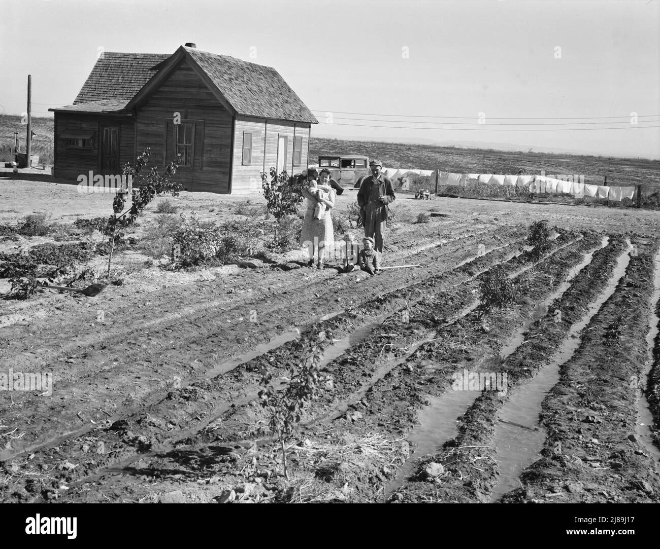 The Schroeder family. The new house seen across strawberry patch. Note ...