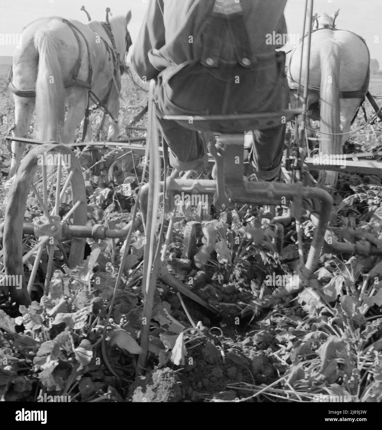 Lifts and their mechanism hi-res stock photography and images - Alamy