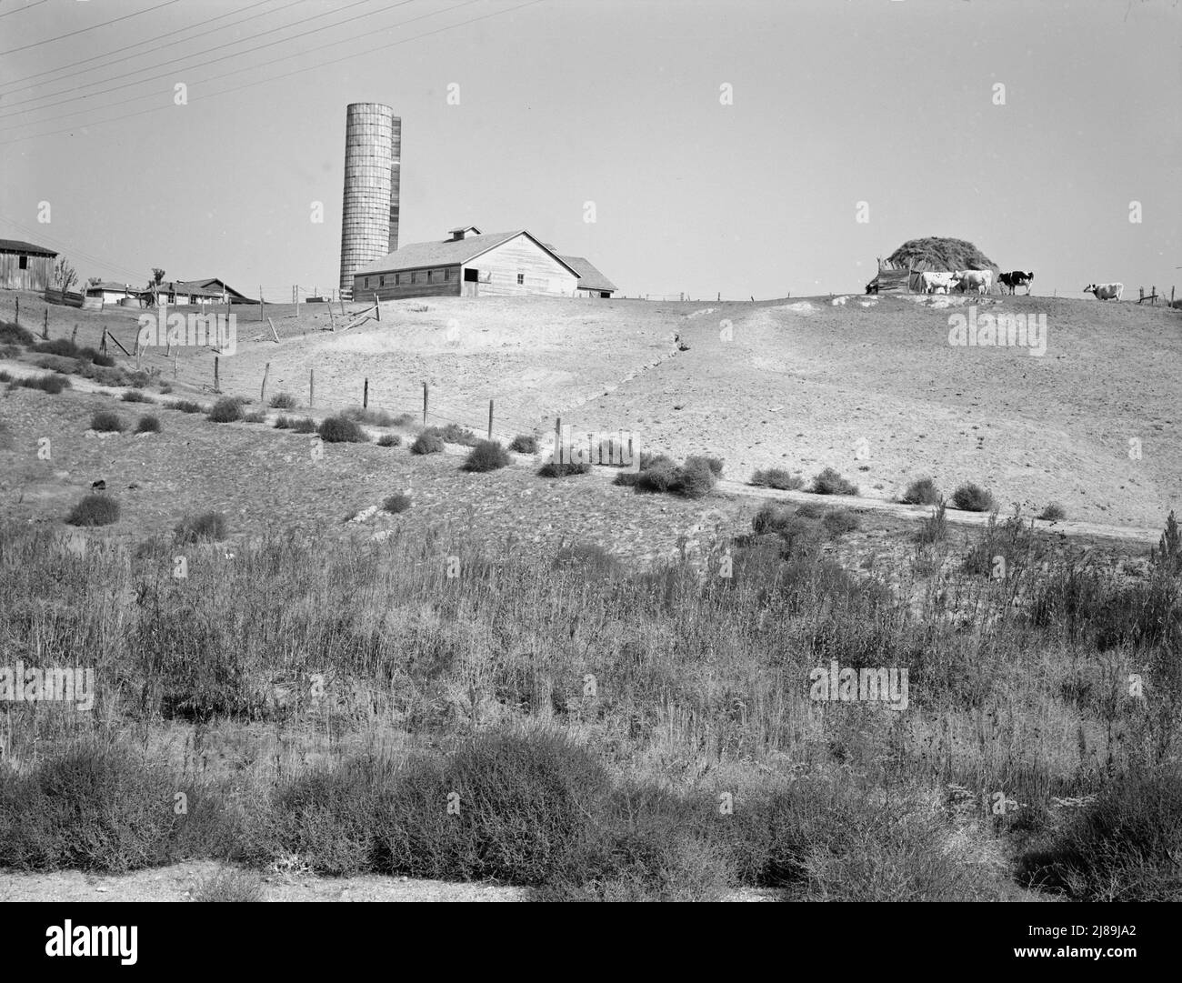 United states dairy farm Black and White Stock Photos & Images - Alamy