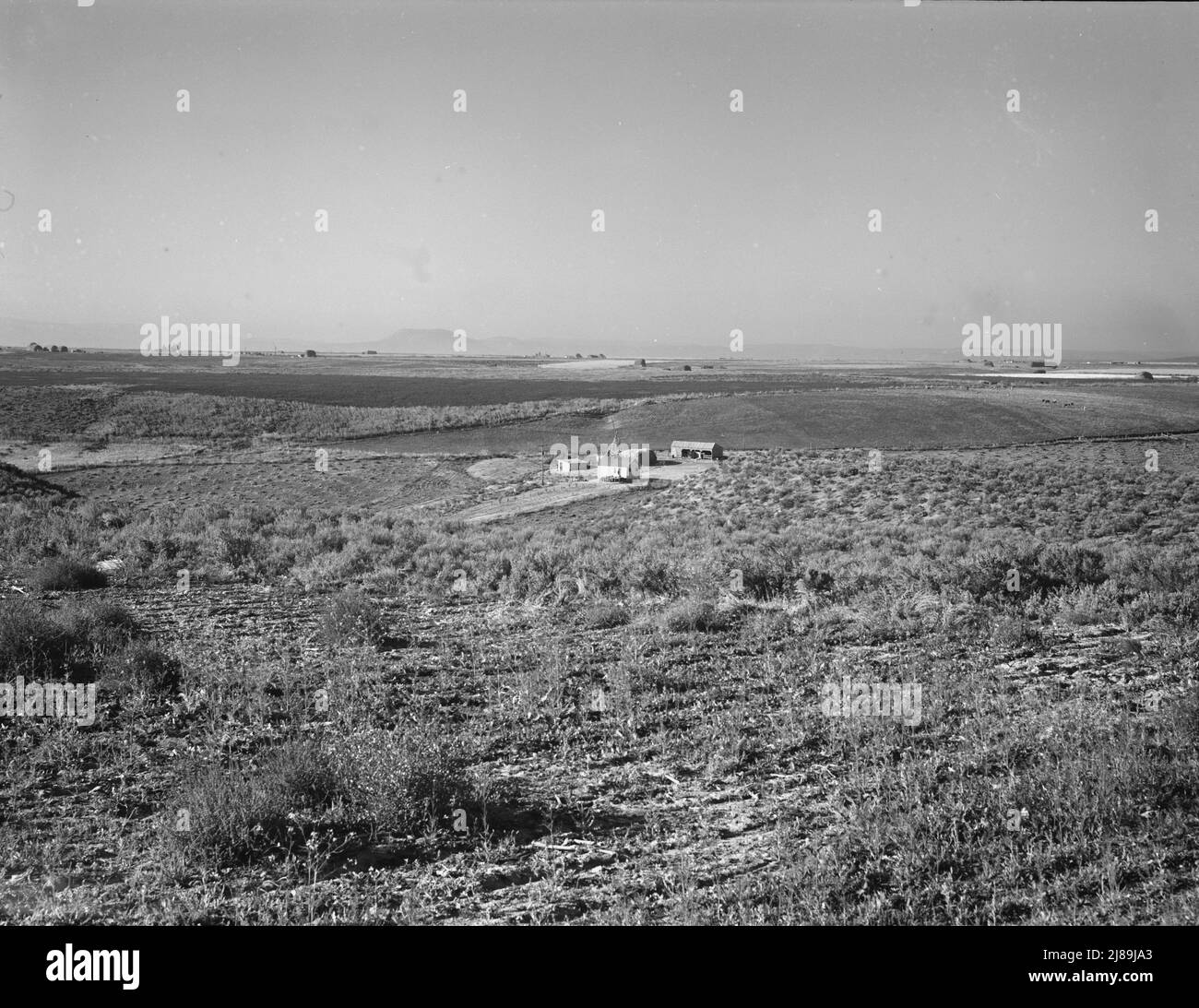 Hay for cattle Black and White Stock Photos & Images - Alamy