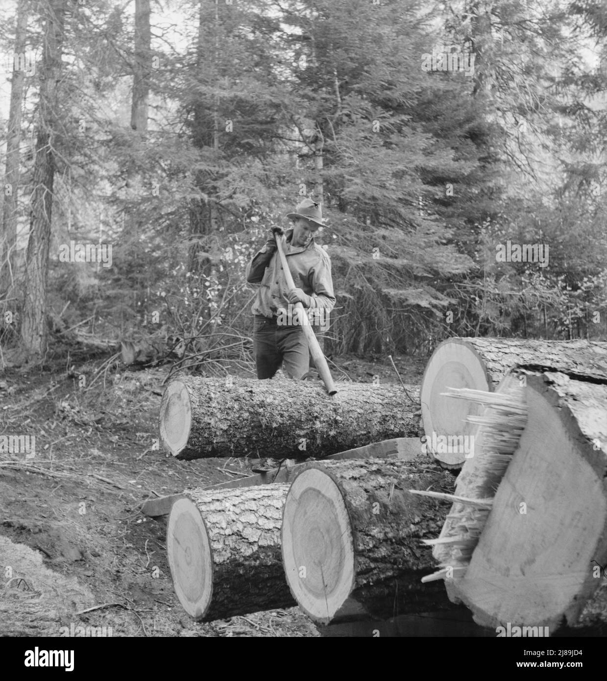 Spiked stick hi-res stock photography and images - Alamy