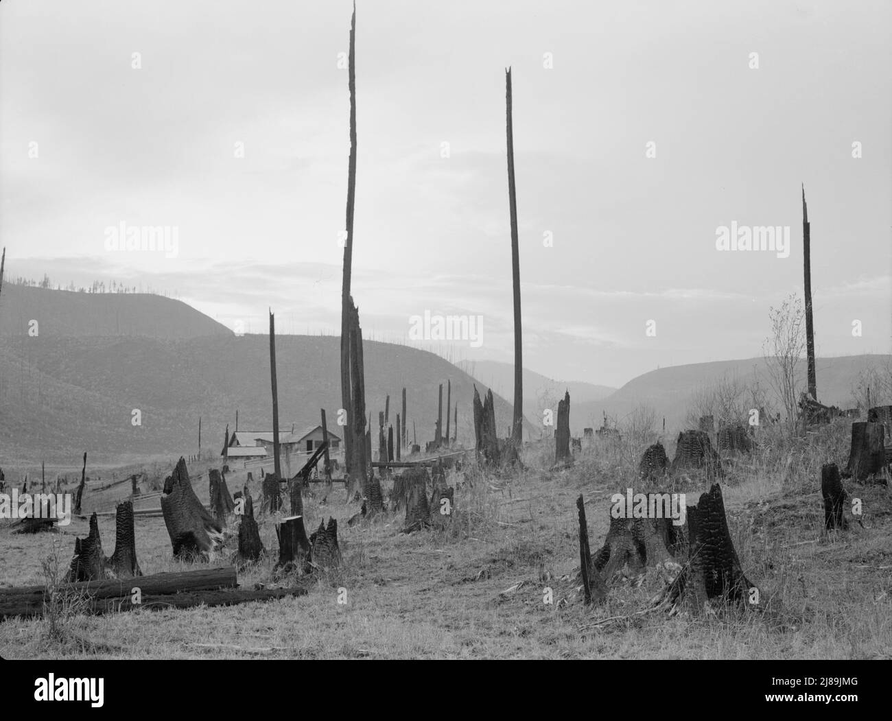 View of the Halley farm. Priest River Peninsula. Bonner County, Idaho ...