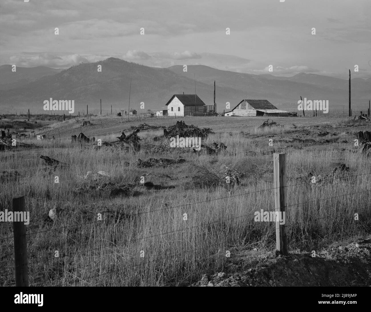 New home, new fence, newly cleared land of farmer starting up on cut ...