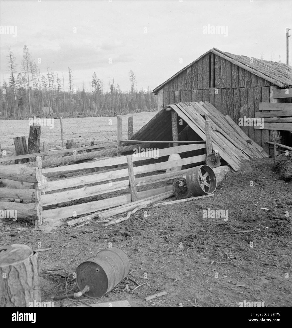 Farm buildings, slab construction, on new stump farm. Boundary County ...