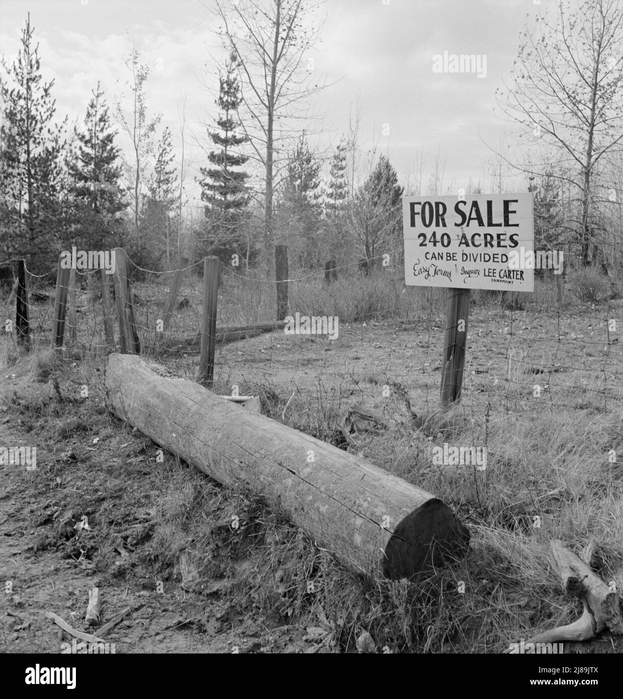 Sign on back road in cut-over area. Boundary County, Idaho Stock Photo ...