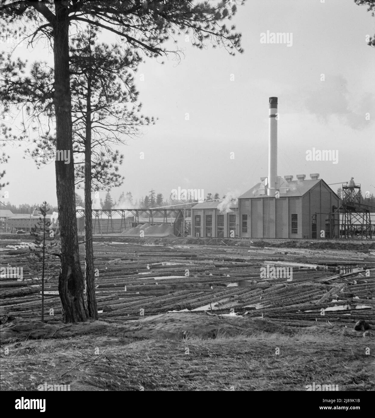 The new Gilchrist mill, open a week. Lumber mill. Gilchrist, Oregon ...