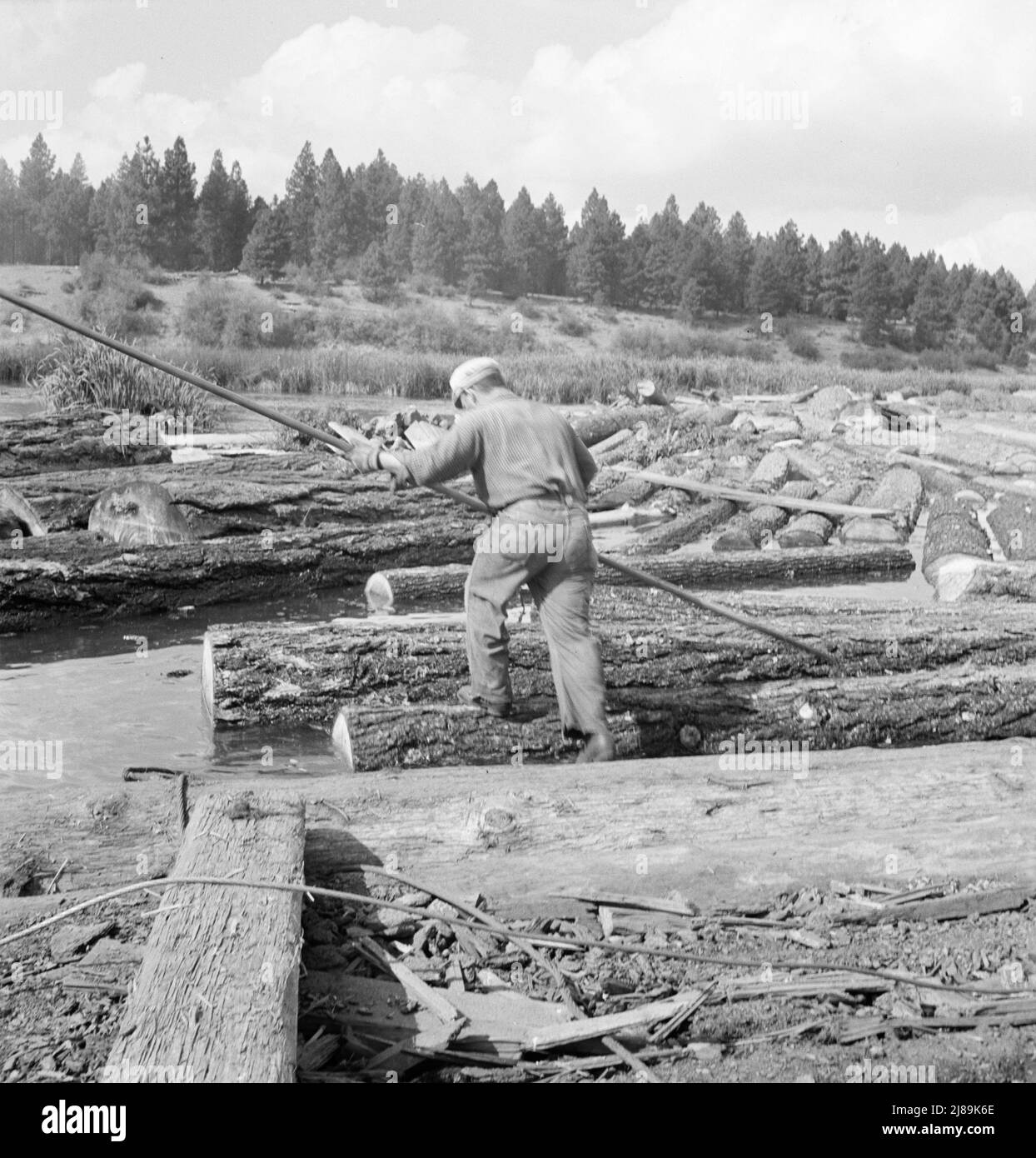 Logging pond hi-res stock photography and images - Alamy