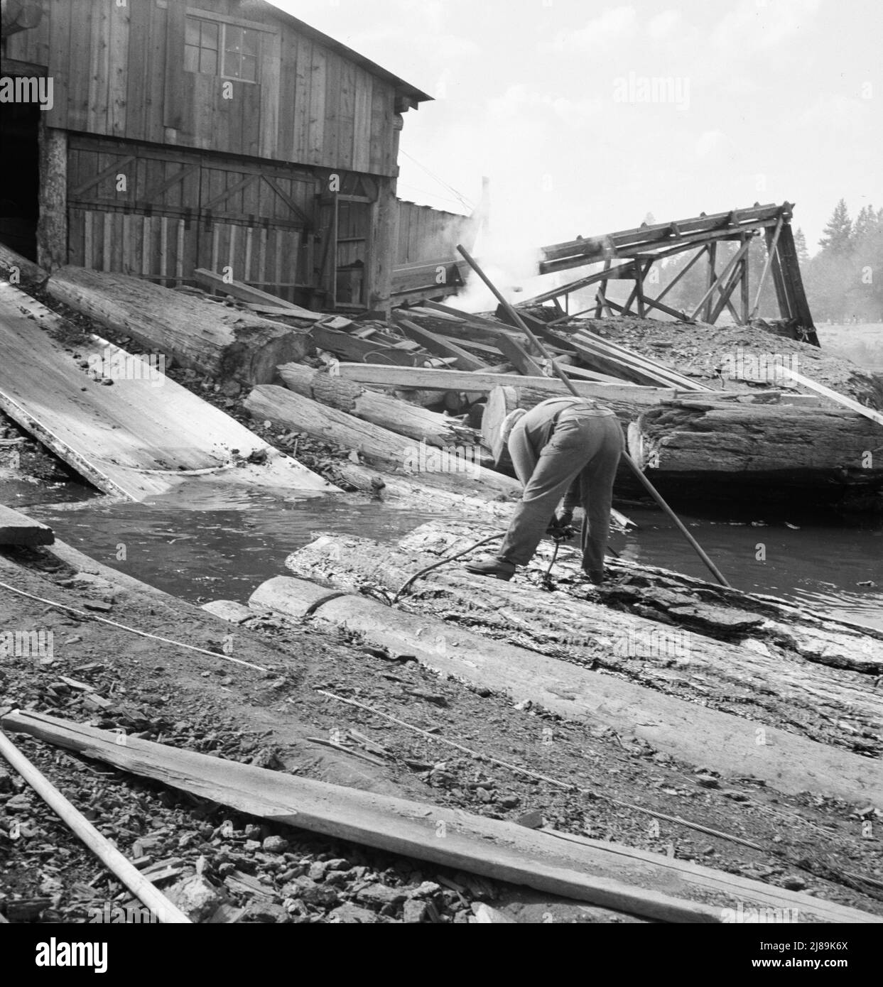 Pond monkey steers log raft in mill pond. Keno, Klamath County, Oregon ...