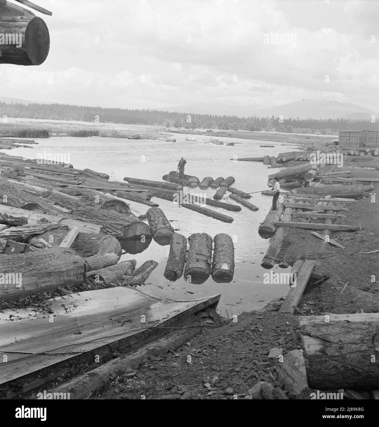 Log rafts hi-res stock photography and images - Alamy