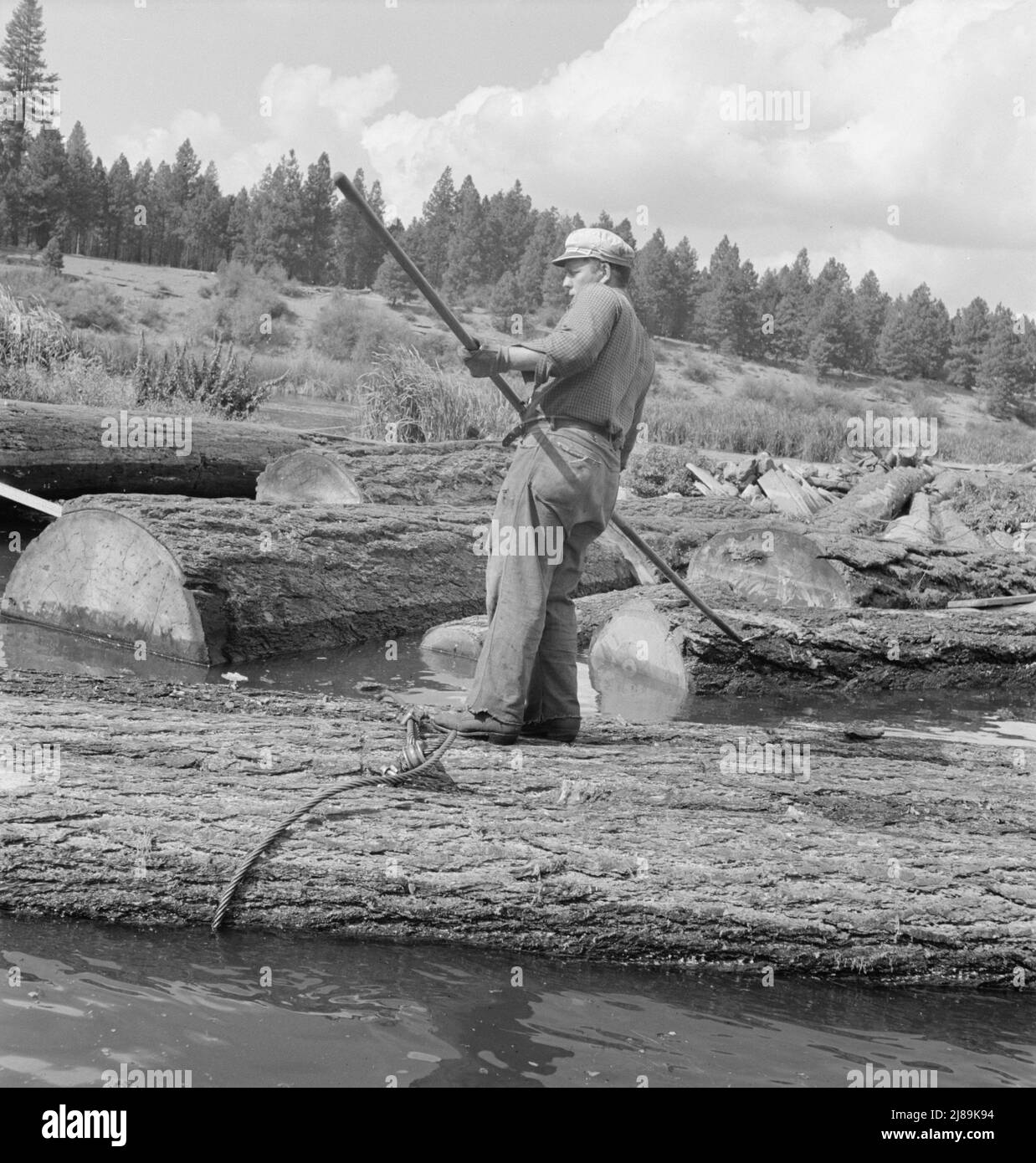 Logging pond hi-res stock photography and images - Alamy
