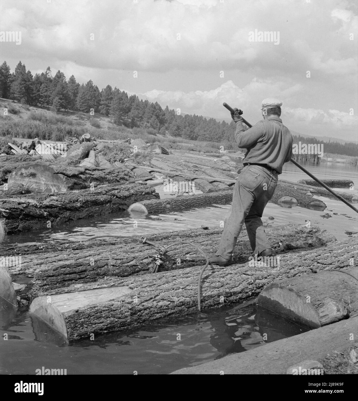 Logging pond hi-res stock photography and images - Alamy
