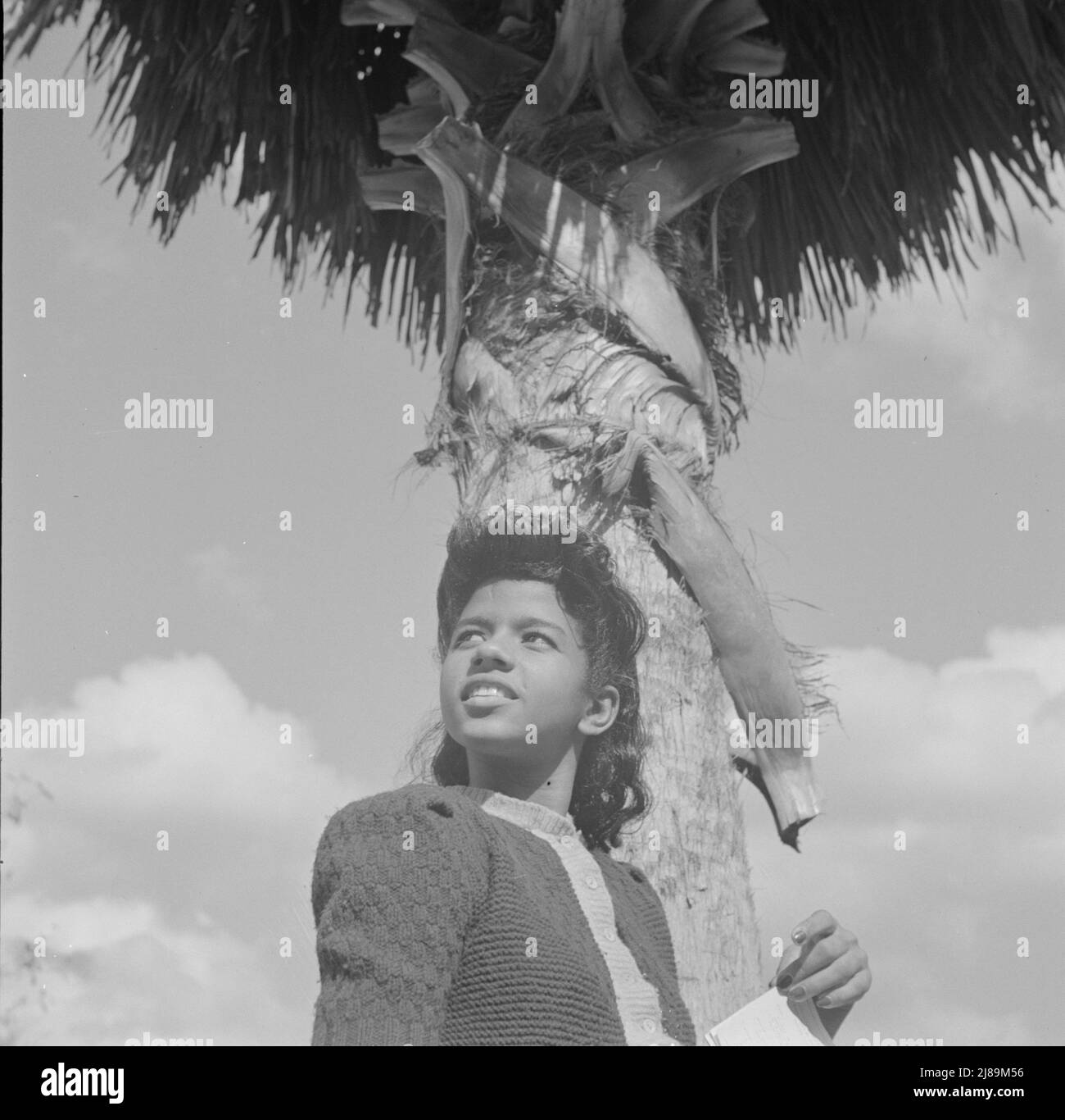 Bethune cookman university hi-res stock photography and images - Alamy