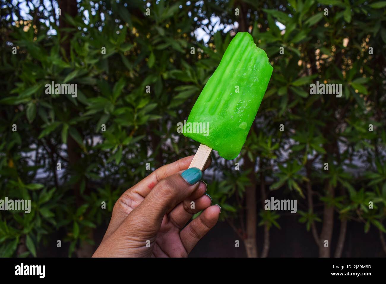 Person eating Cold Icecream bar candy Frozen dessert in scroching ...