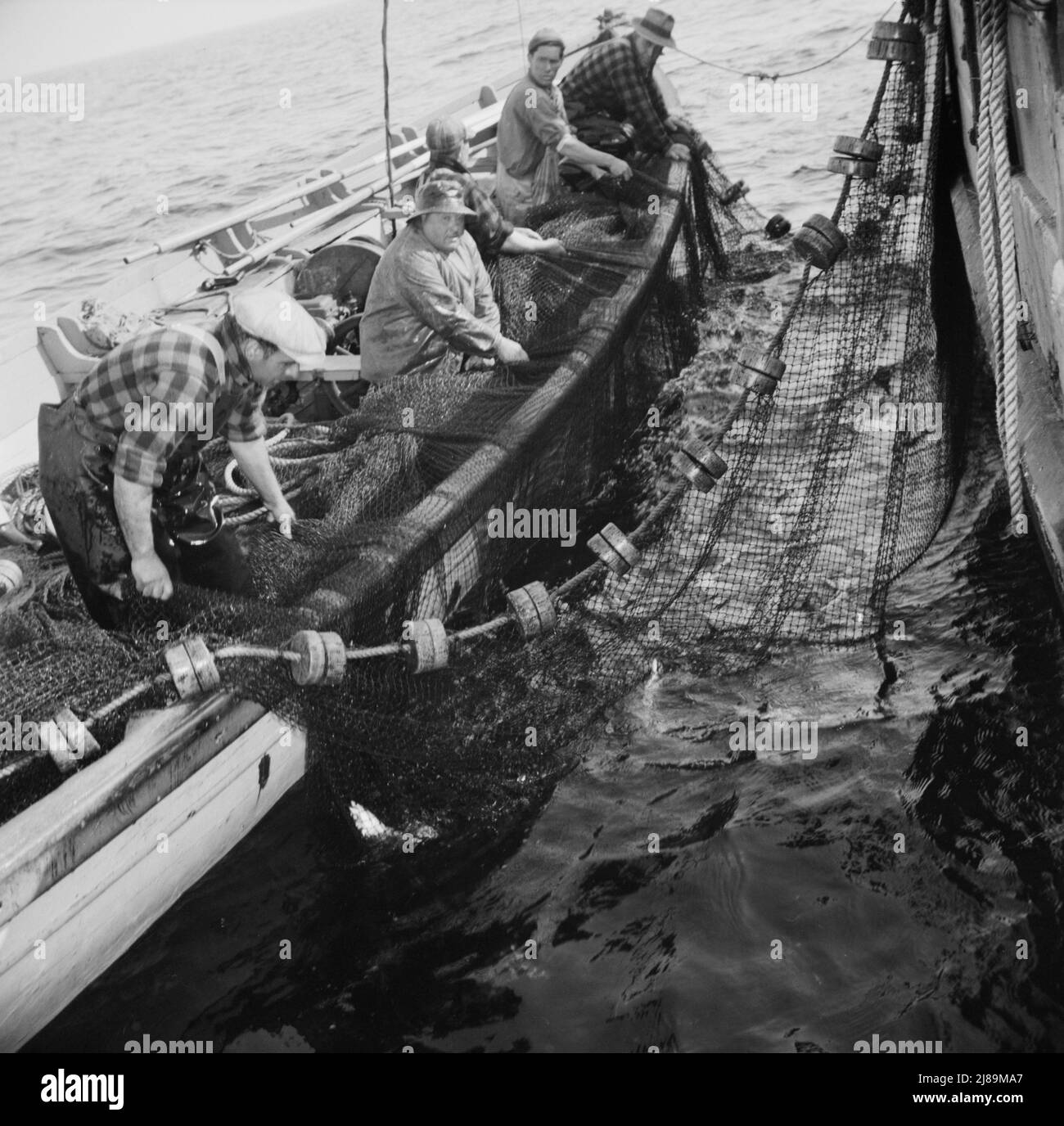 Pulling in the nets Black and White Stock Photos & Images - Alamy