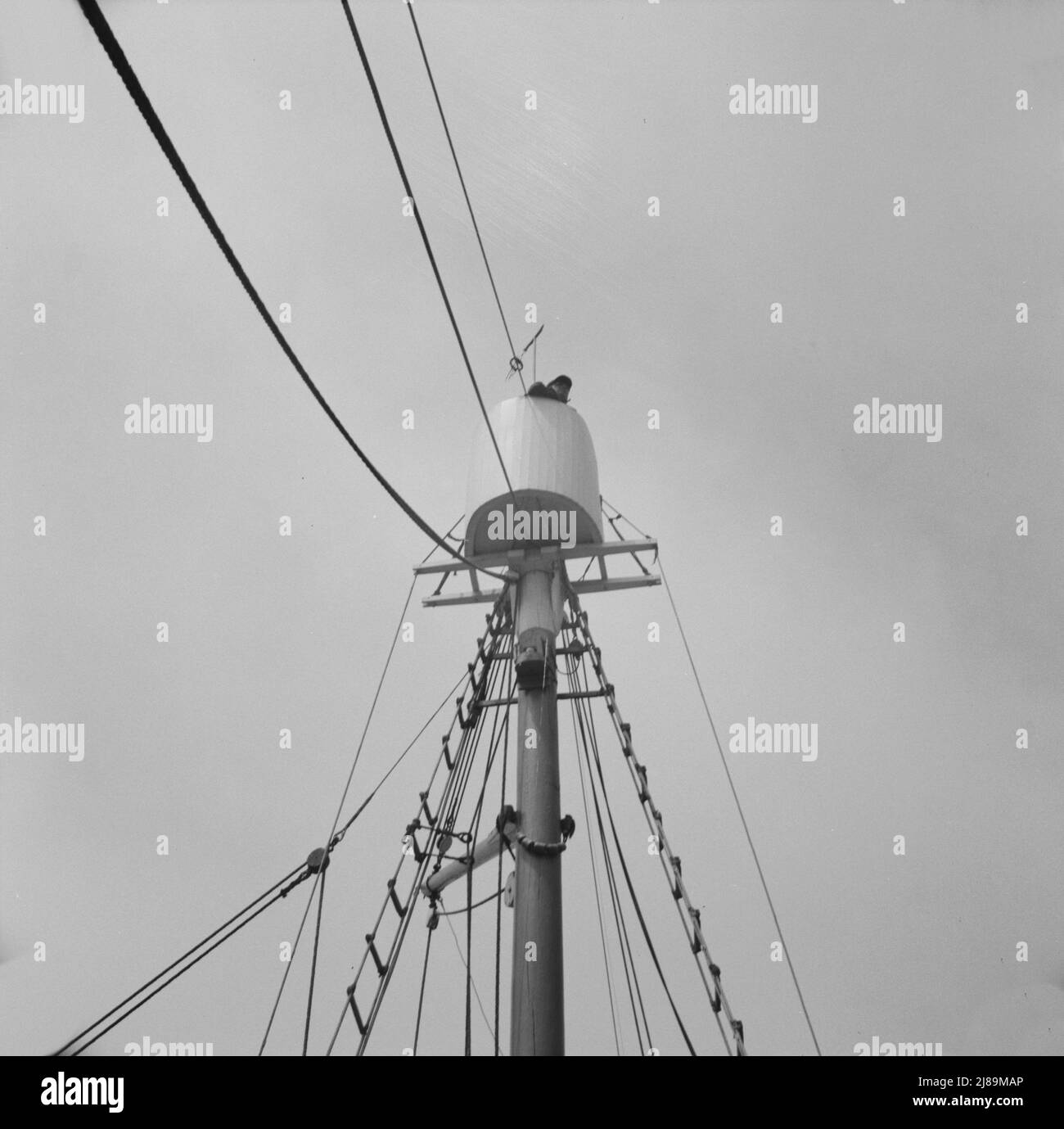 [Untitled photo, possibly related to: Frank Mineo, owner of the Alden ...