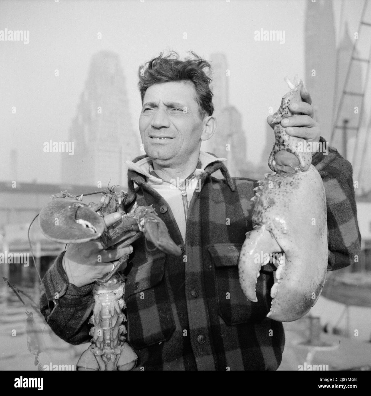 New York, New York. Dock stevedore at the Fulton fish market holding ...
