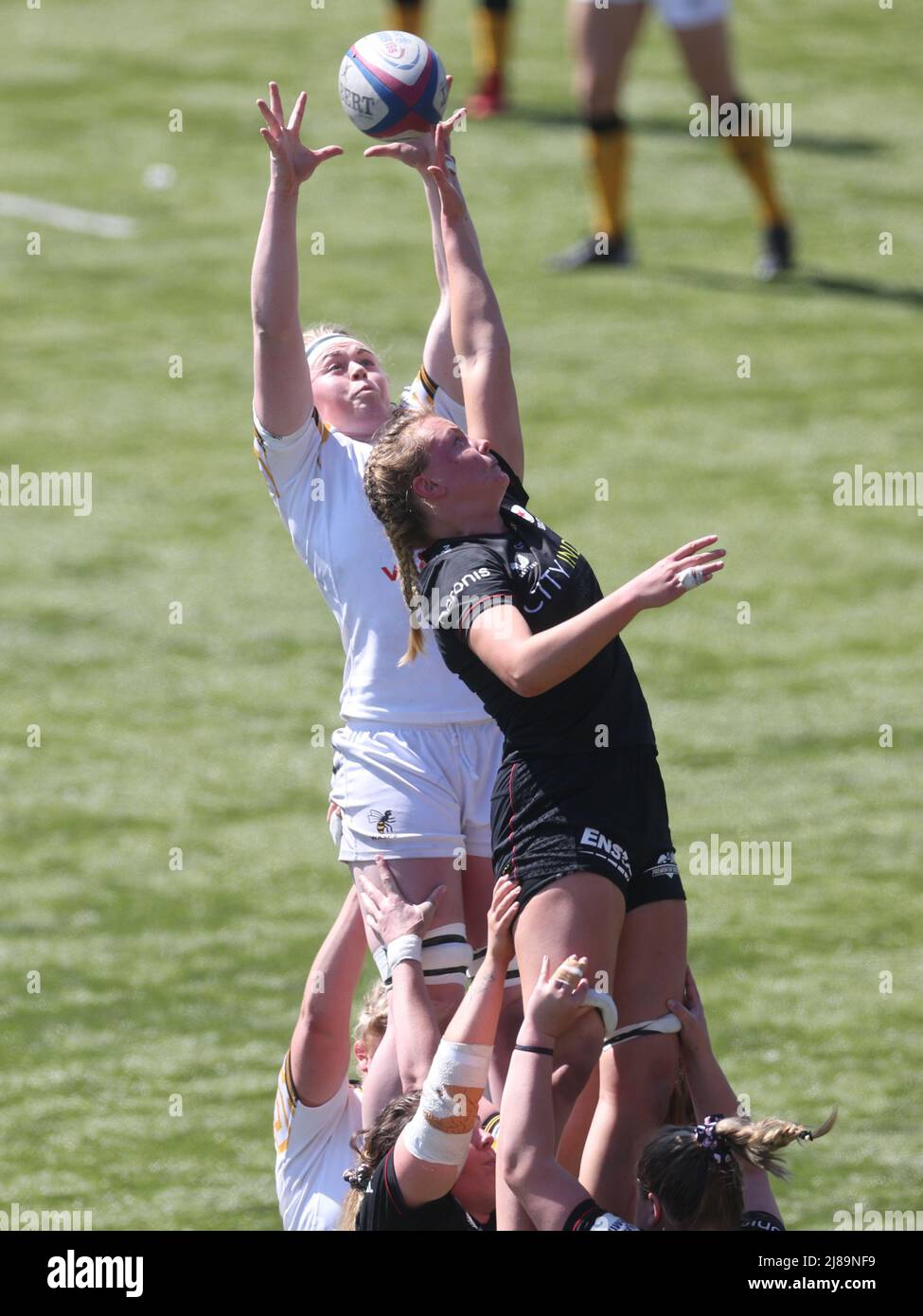 Fiona mcintosh hi-res stock photography and images - Alamy