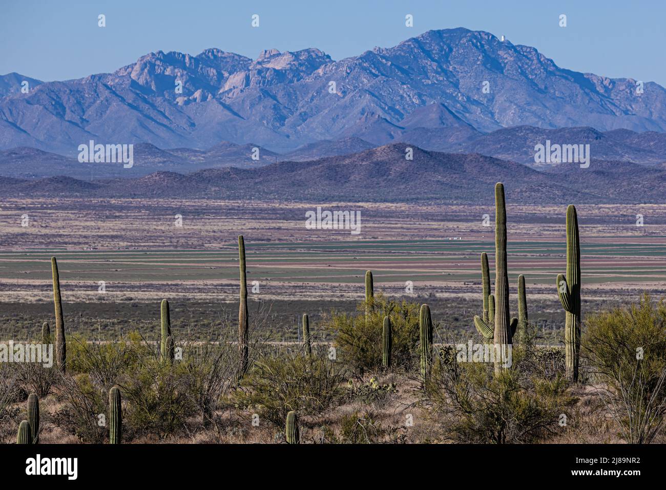 The southern Arizona desert landscape Stock Photo - Alamy