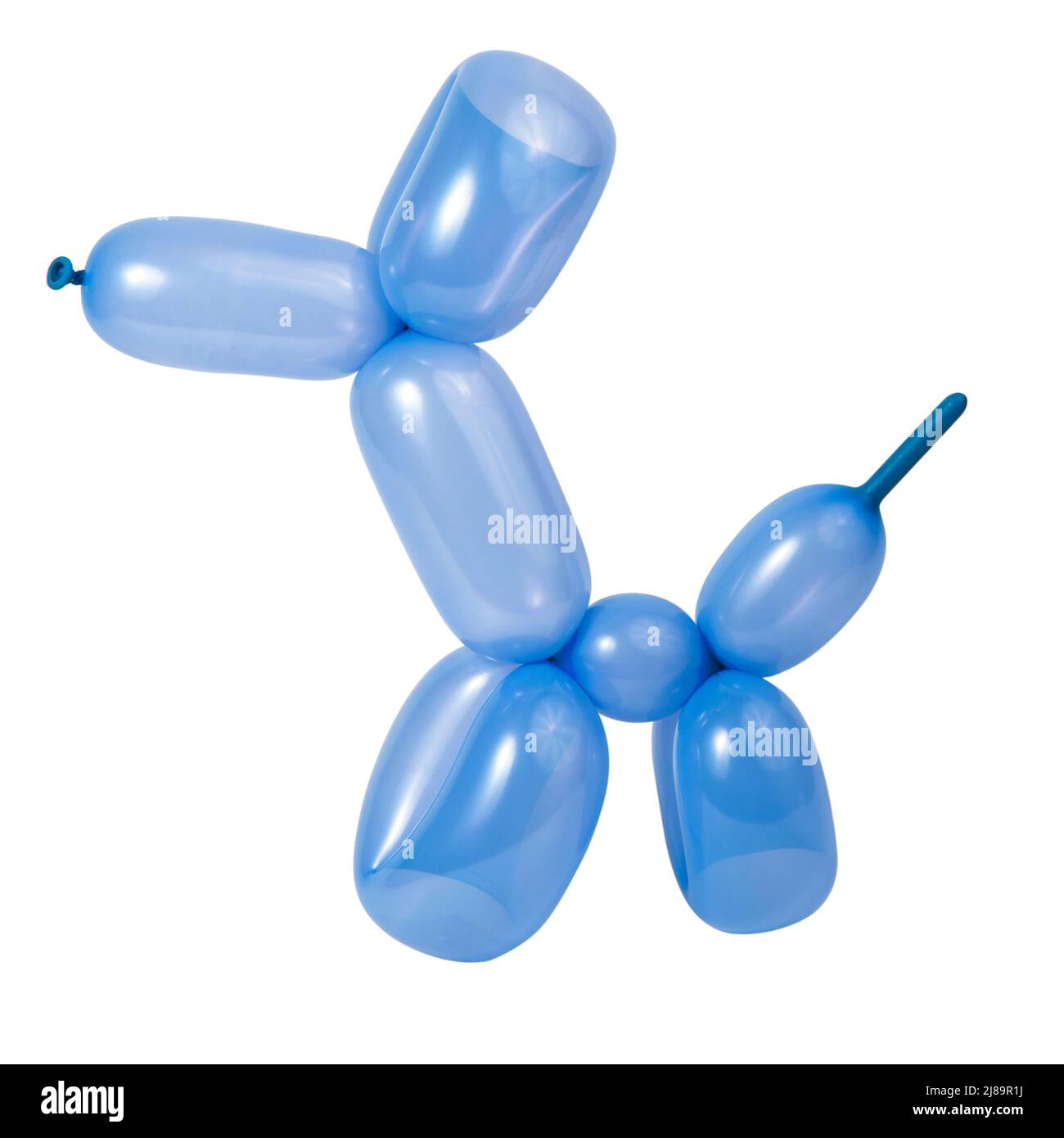 Photo party model of balloon dog fun craft isolated on the white ...