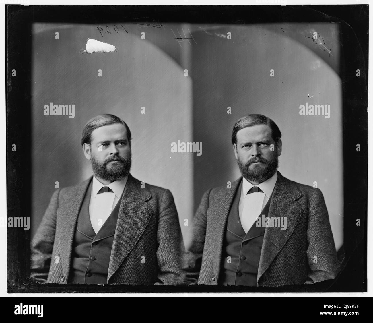 Julius Caesar Burrows of Michigan, 1865-1880. Burrows, Hon. Julius ...