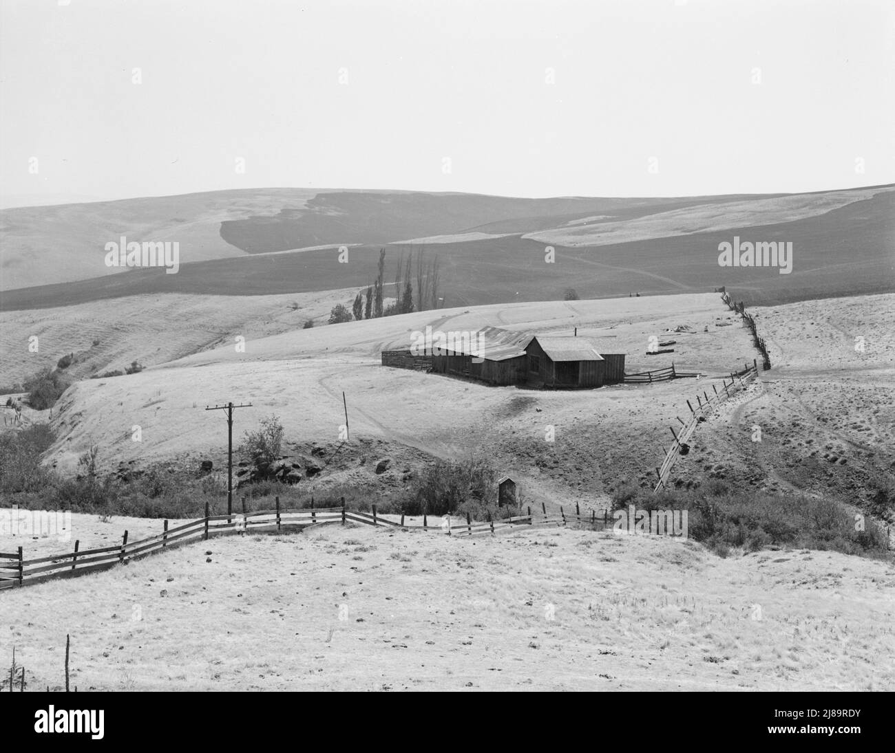 Overgrazing land hi-res stock photography and images - Alamy