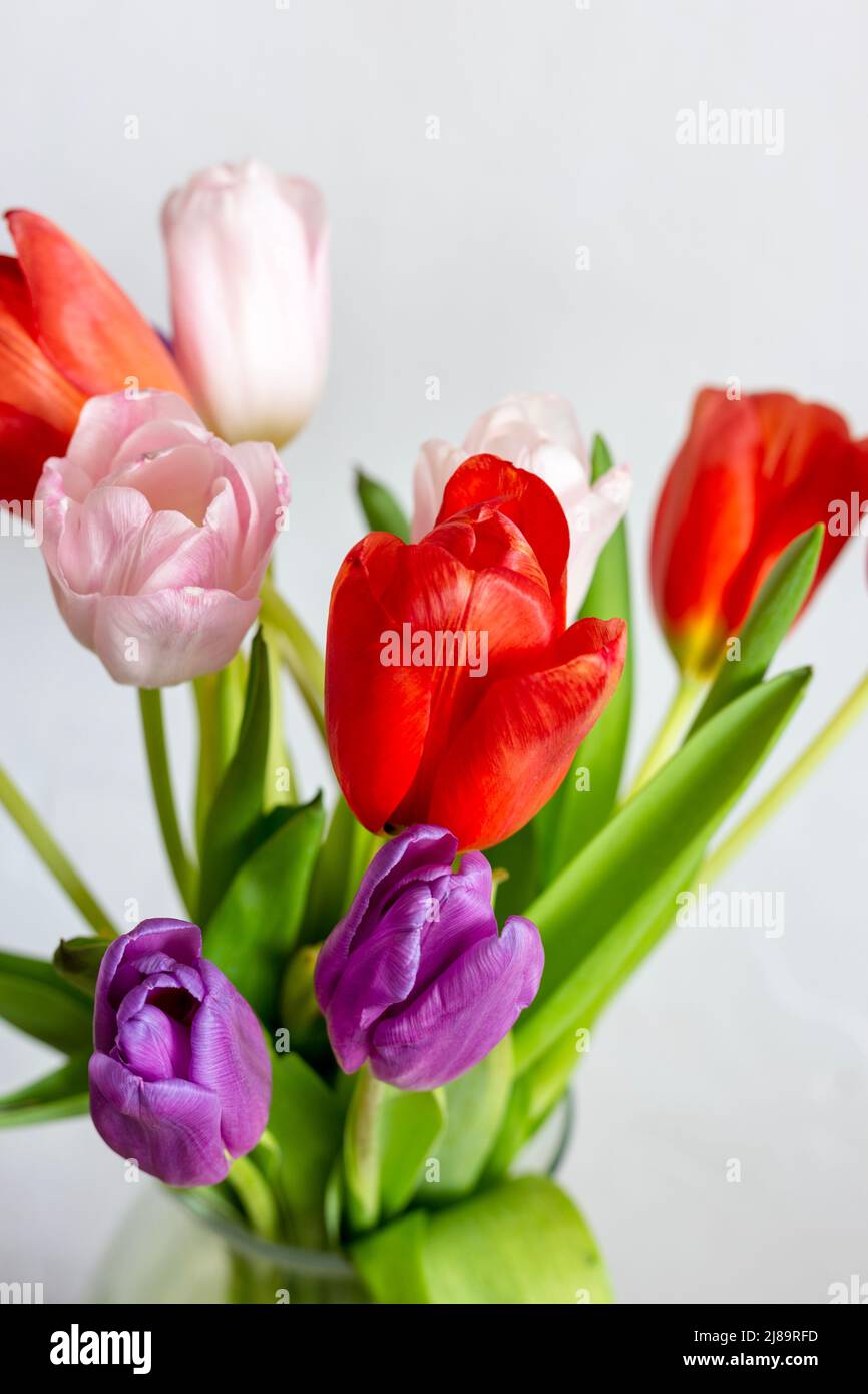 Beautiful spring bouquet on a white background Stock Photo - Alamy