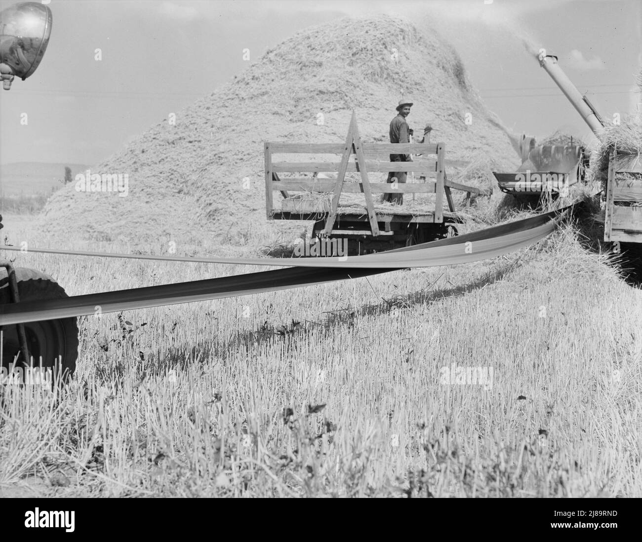 Five negatives Black and White Stock Photos & Images - Alamy