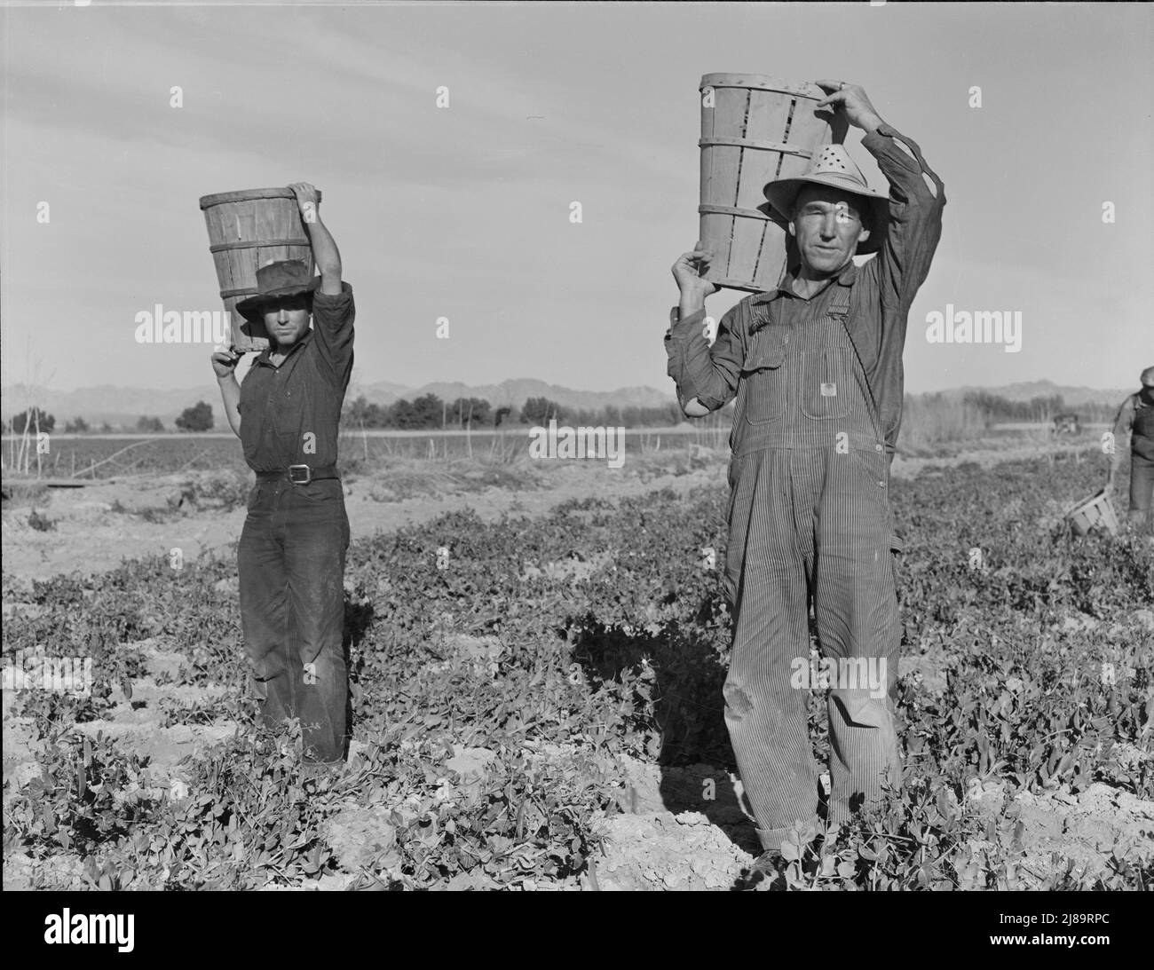 California farming 1930s hi-res stock photography and images - Alamy