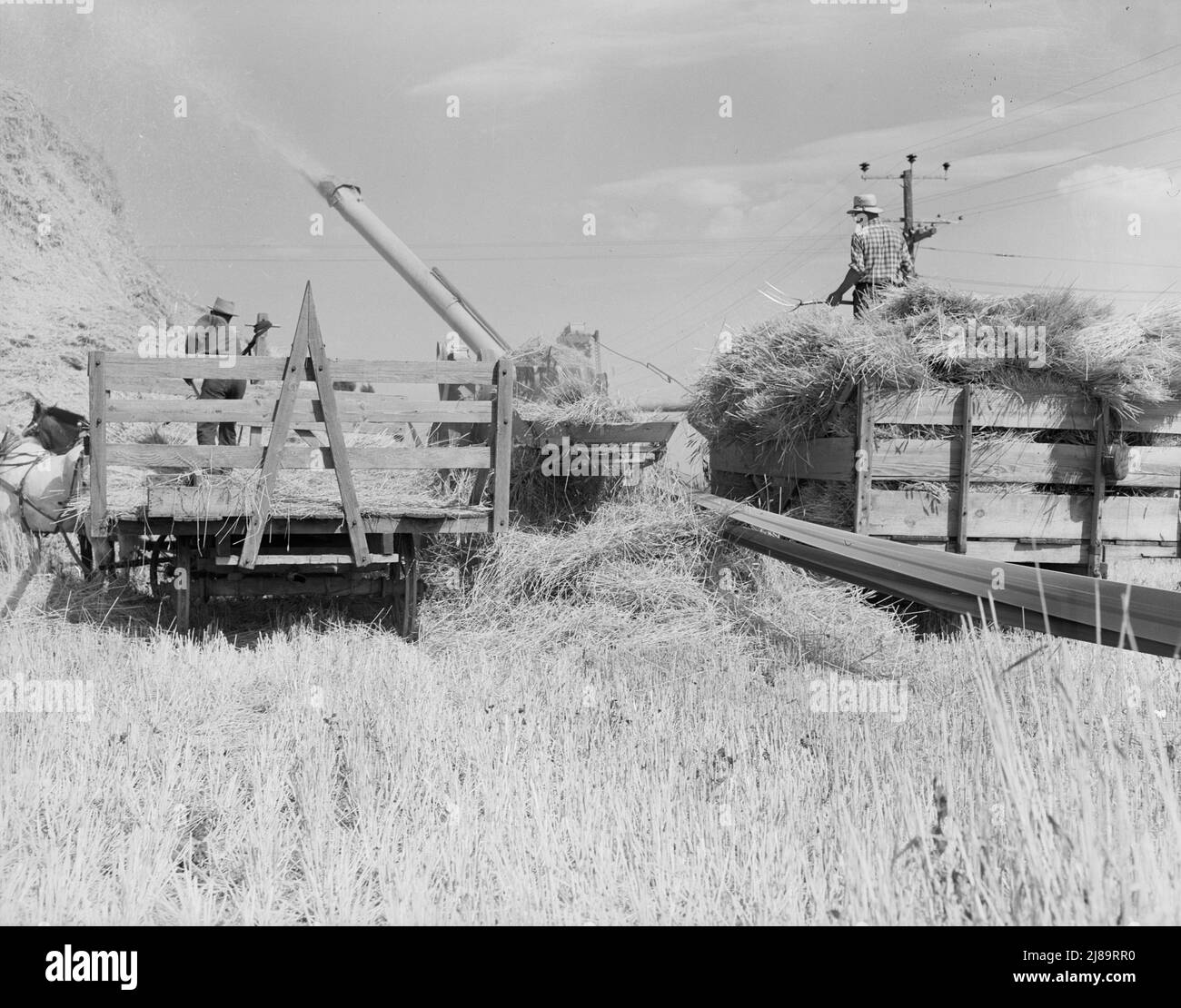 Five negatives Black and White Stock Photos & Images - Alamy