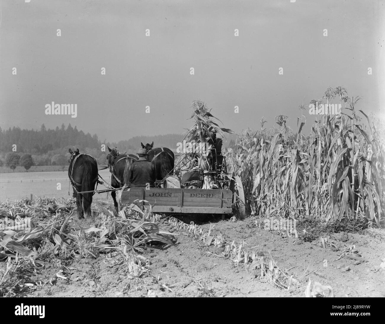 Lee miller war hi-res stock photography and images - Alamy