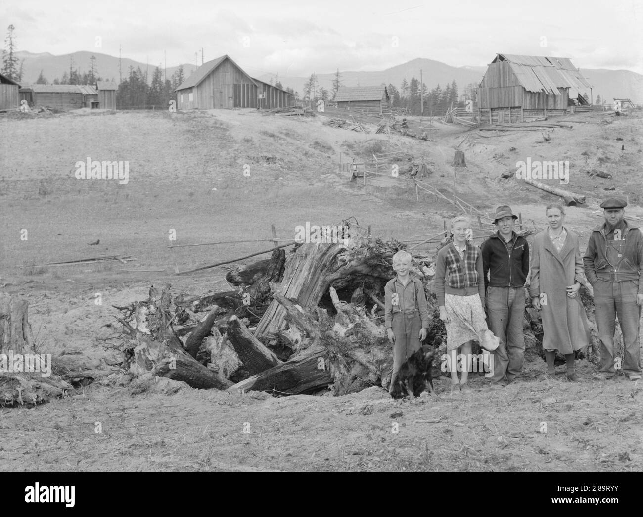 The Unruf family, stump pile, and their partly developed farm. Boundary ...