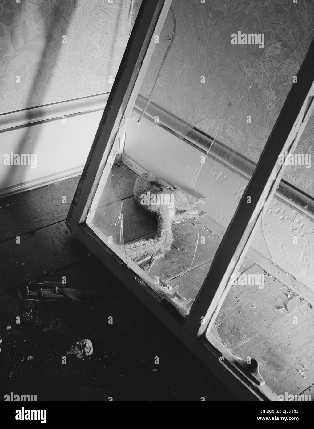 Inside a wrecked building hi-res stock photography and images - Alamy