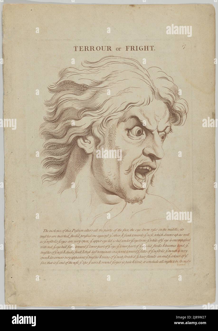 Terror or Fright (from Heads Representing the Various Passions of the ...