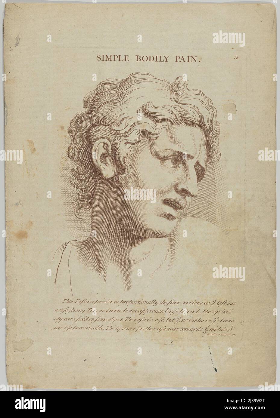 Simple Bodily Pain (from Heads Representing the Various Passions of the ...