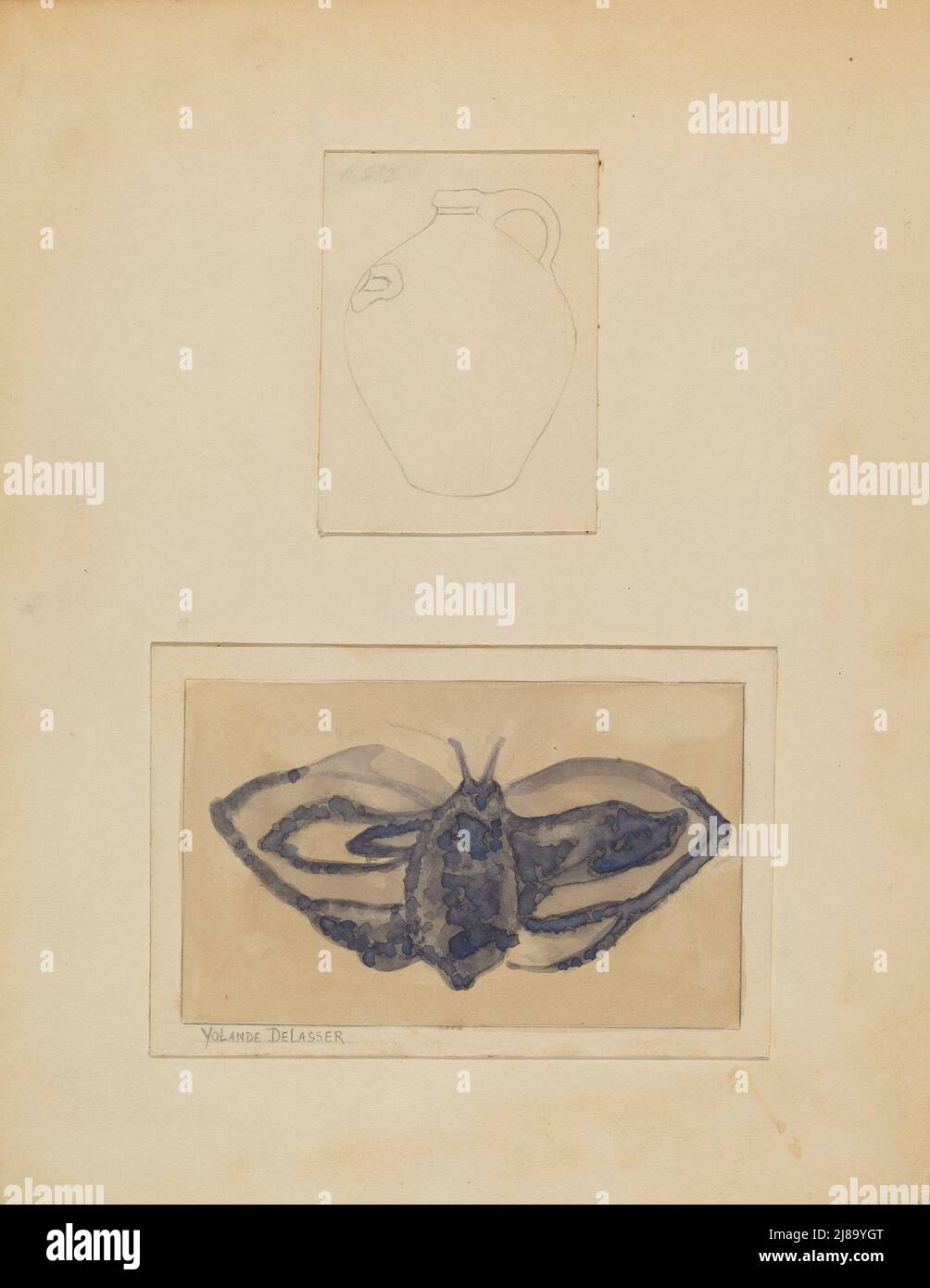 Insect description hi-res stock photography and images - Alamy