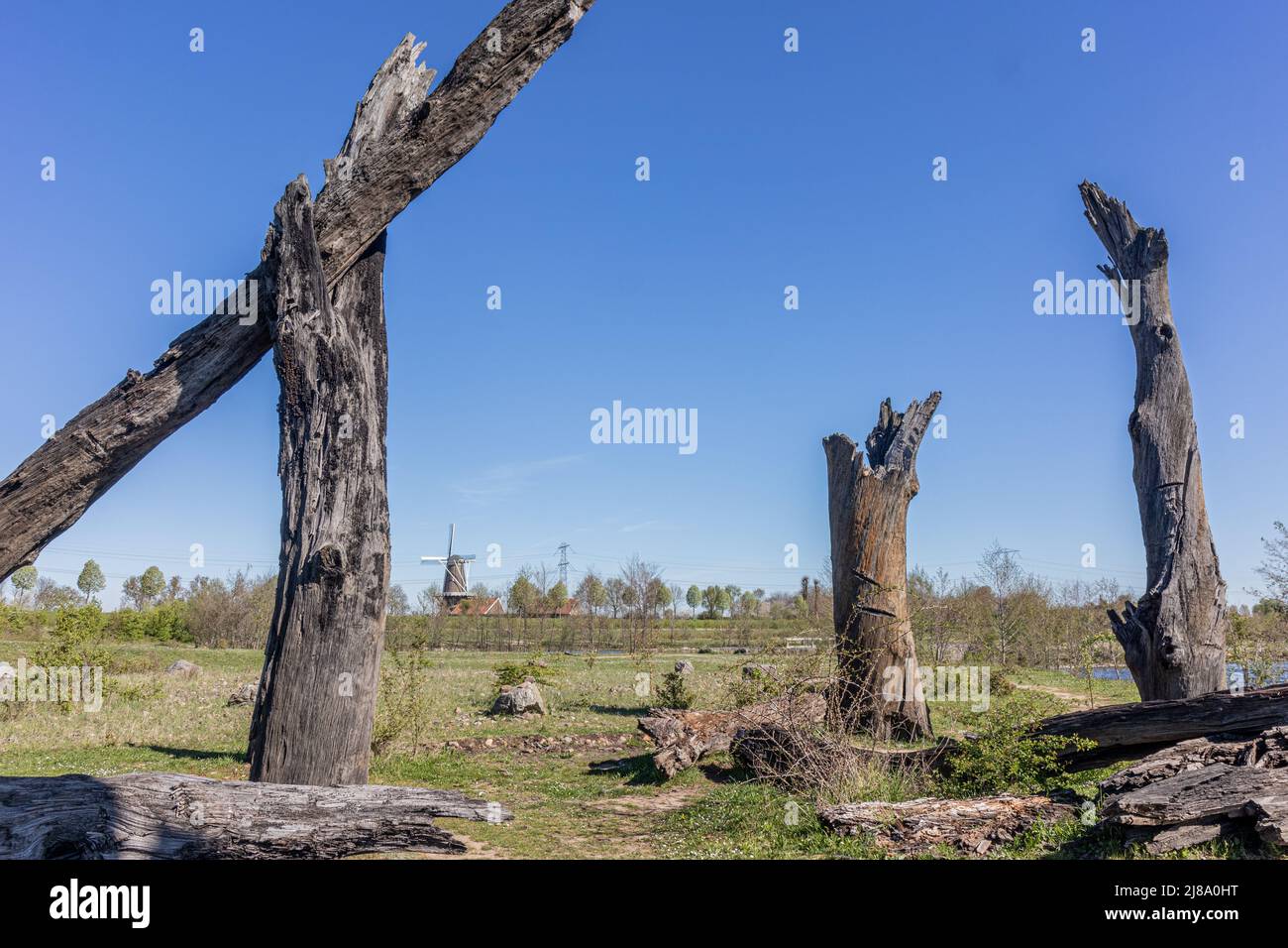 Monument and landmark at Bomenmonument, with huge 1500-2000 year old ...