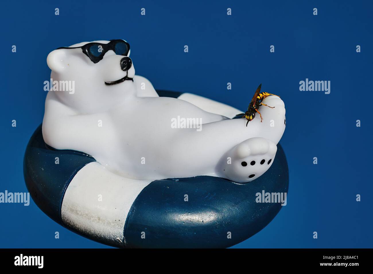 Melting of the polar ice caps hi-res stock photography and images - Alamy