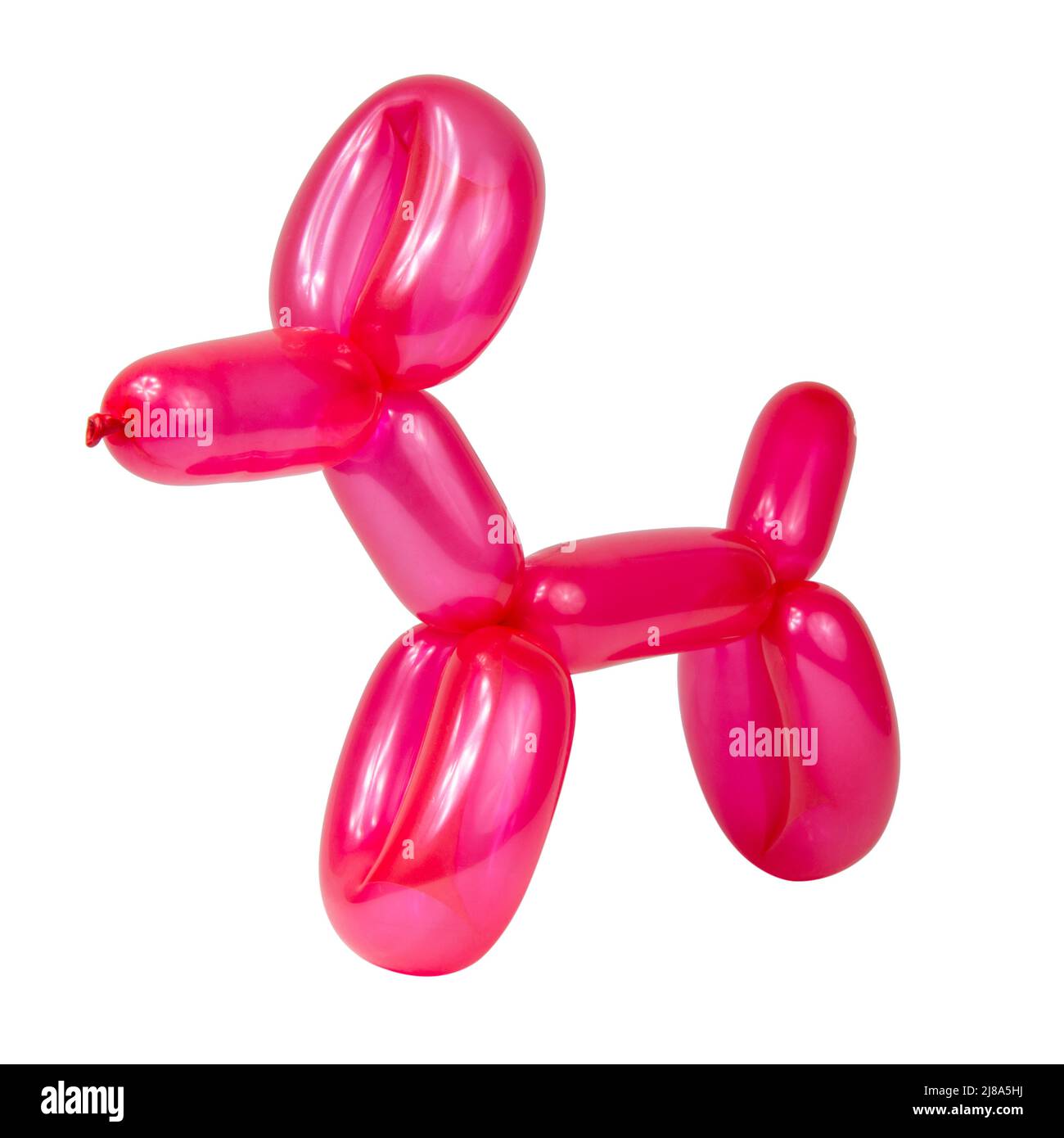 Red balloon dog model party fun isolated on the white background Stock ...