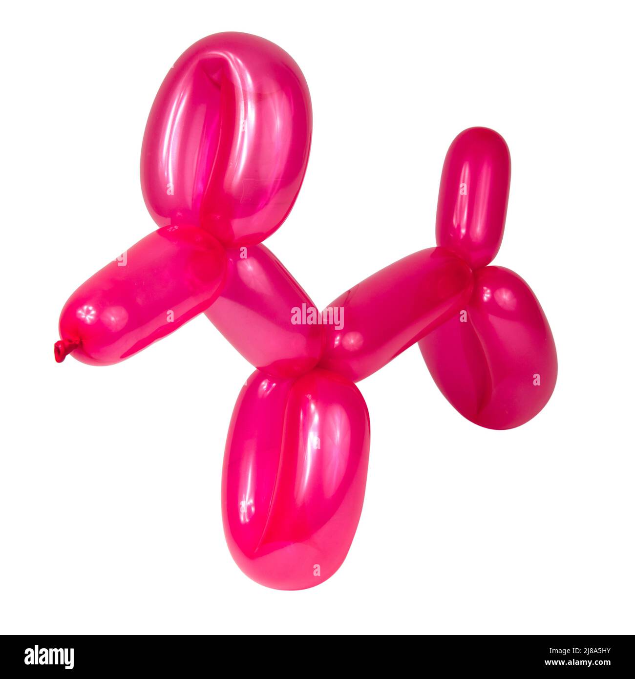 red balloon dog model party fun isolated on the white background Stock ...