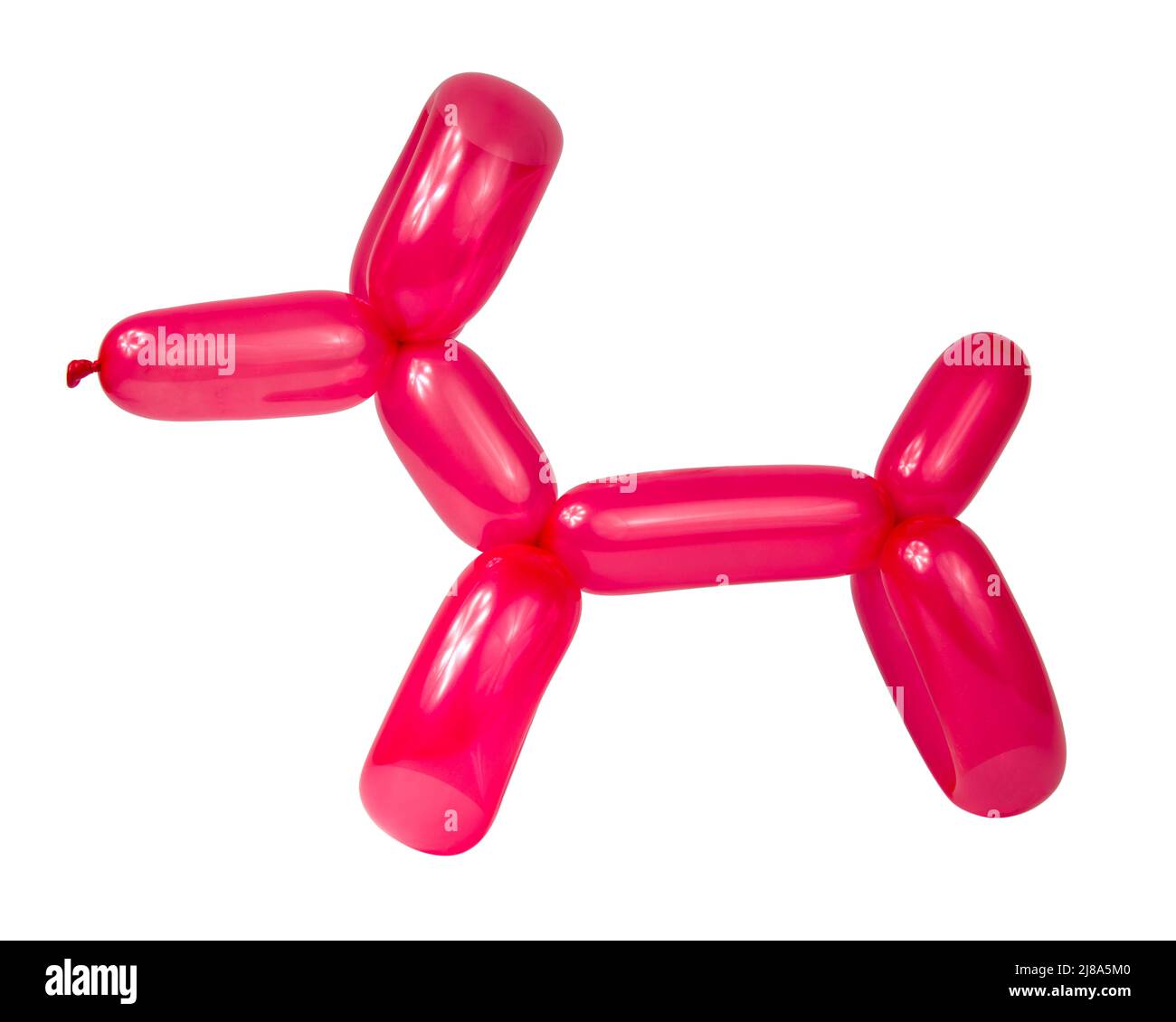 red balloon dog model party fun isolated on the white background Stock ...
